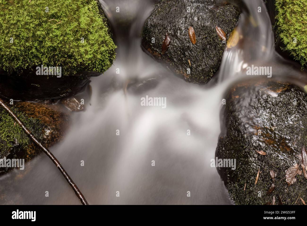 Long-exposure photograph of the stream and mossy rocks of a creek in ...