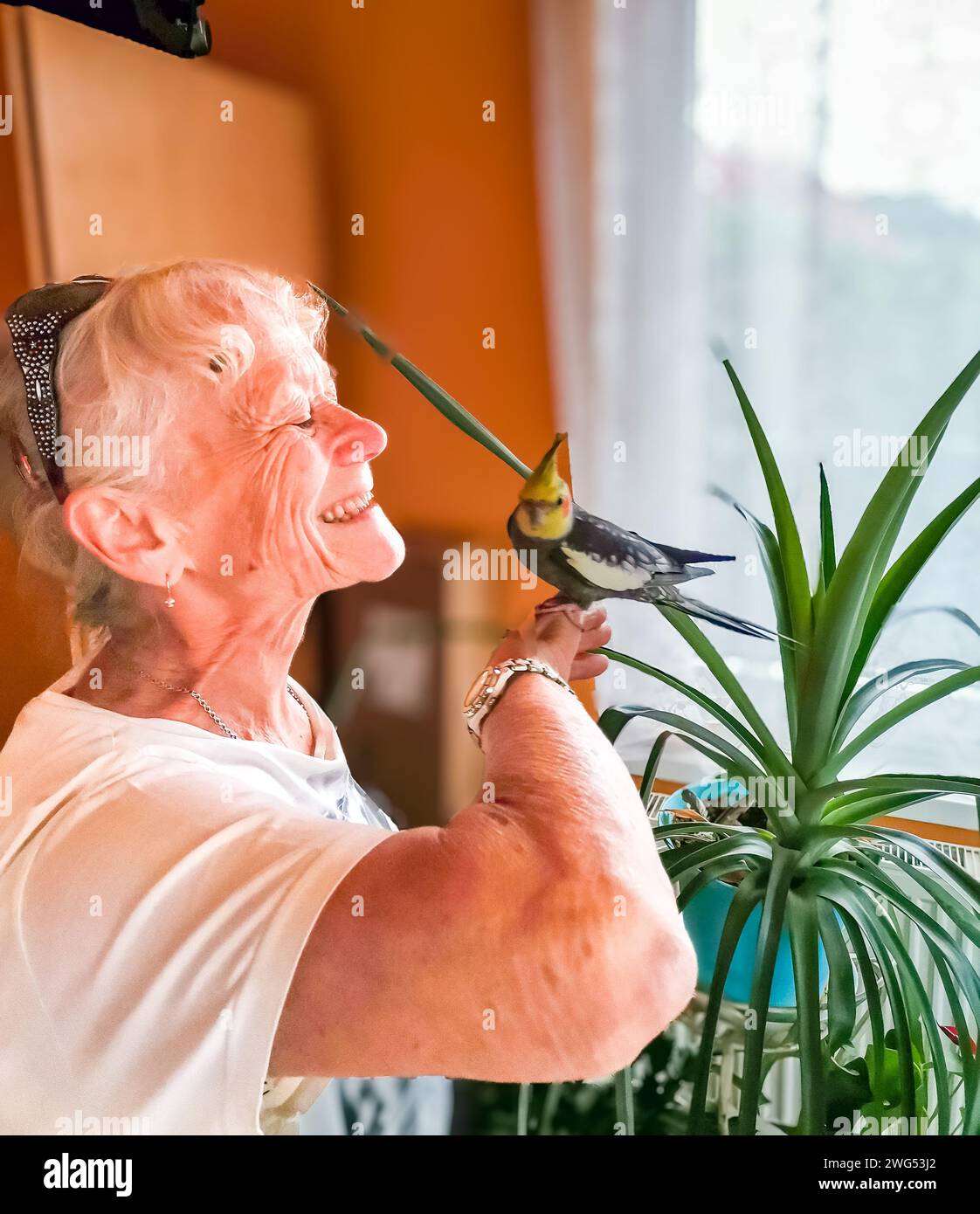 Middle aged woman and parrot together, female bird owner talking ...