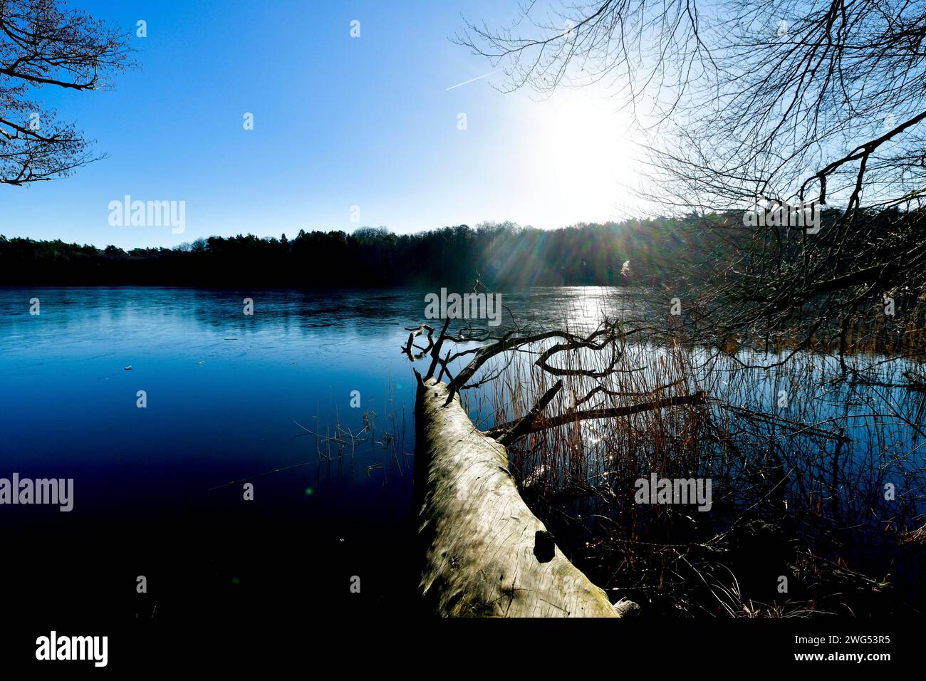 Blick am 28. Januar 2024 auf den Hellsee bei Lanke in Brandenburg. Foto ...