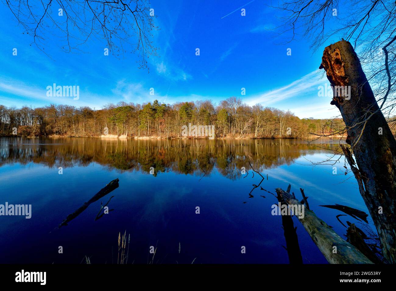 Blick am 28. Januar 2024 auf den Hellsee bei Lanke in Brandenburg. Foto ...