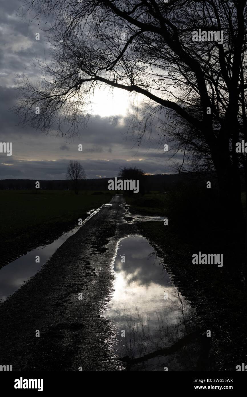 Reflections in a Puddle Stock Photo - Alamy