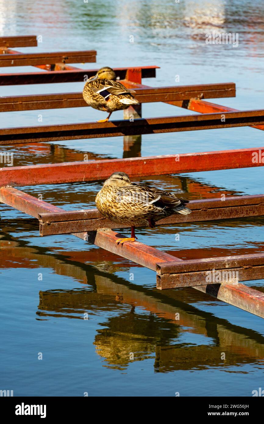 People basking in sun hi-res stock photography and images - Alamy