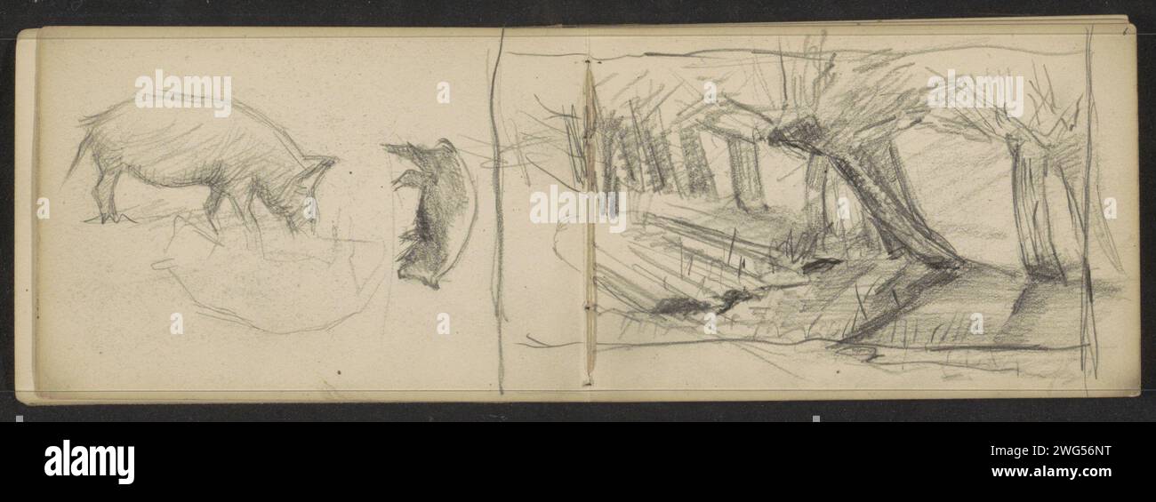 Pigs and pollard willows along a path, c. 1880 - c. 1900 Drawing of ...