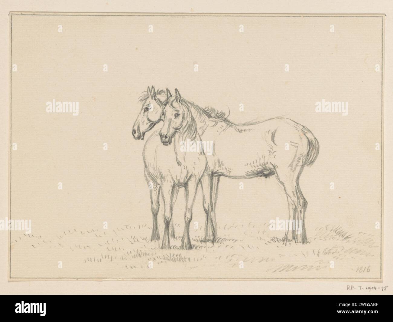 Pencil drawing of horses hi-res stock photography and images - Alamy