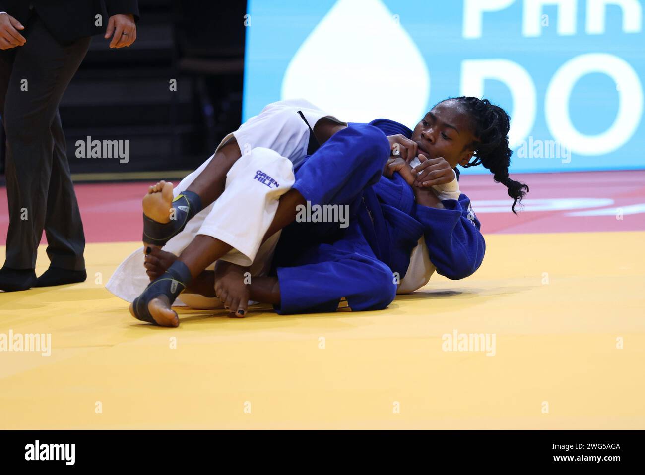 Thierry Larret/Maxppp. Judo International. Paris Grand Slam. Accor Arena Bercy, Paris (75), le 3 ...