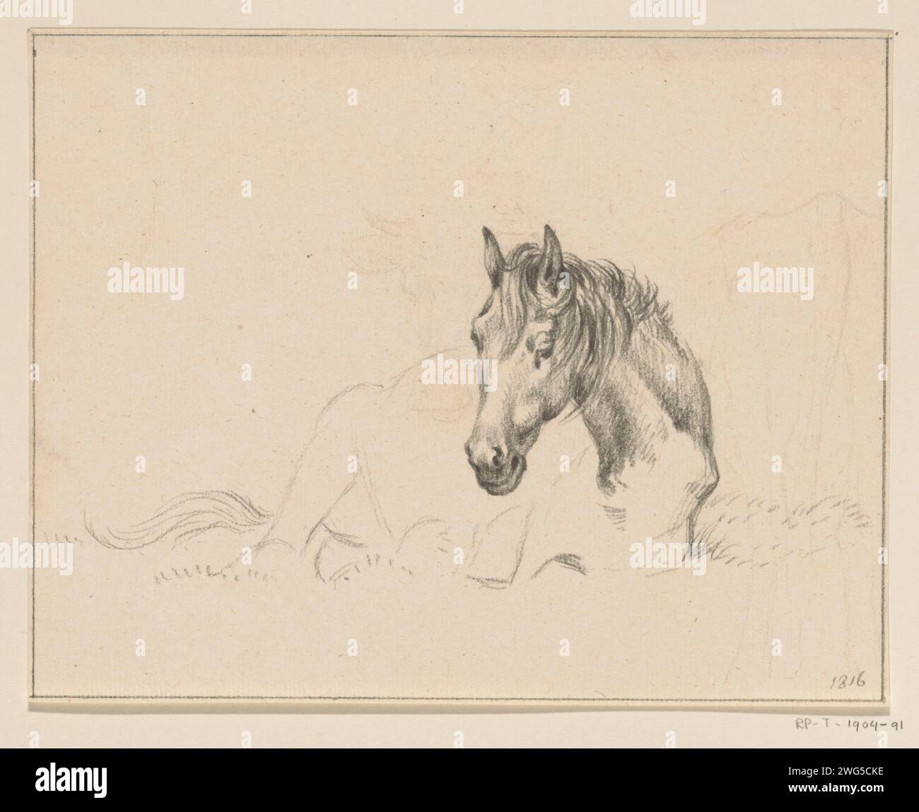 Lying horse, Jean Bernard, 1816 drawing Lying horse, the head worked ...