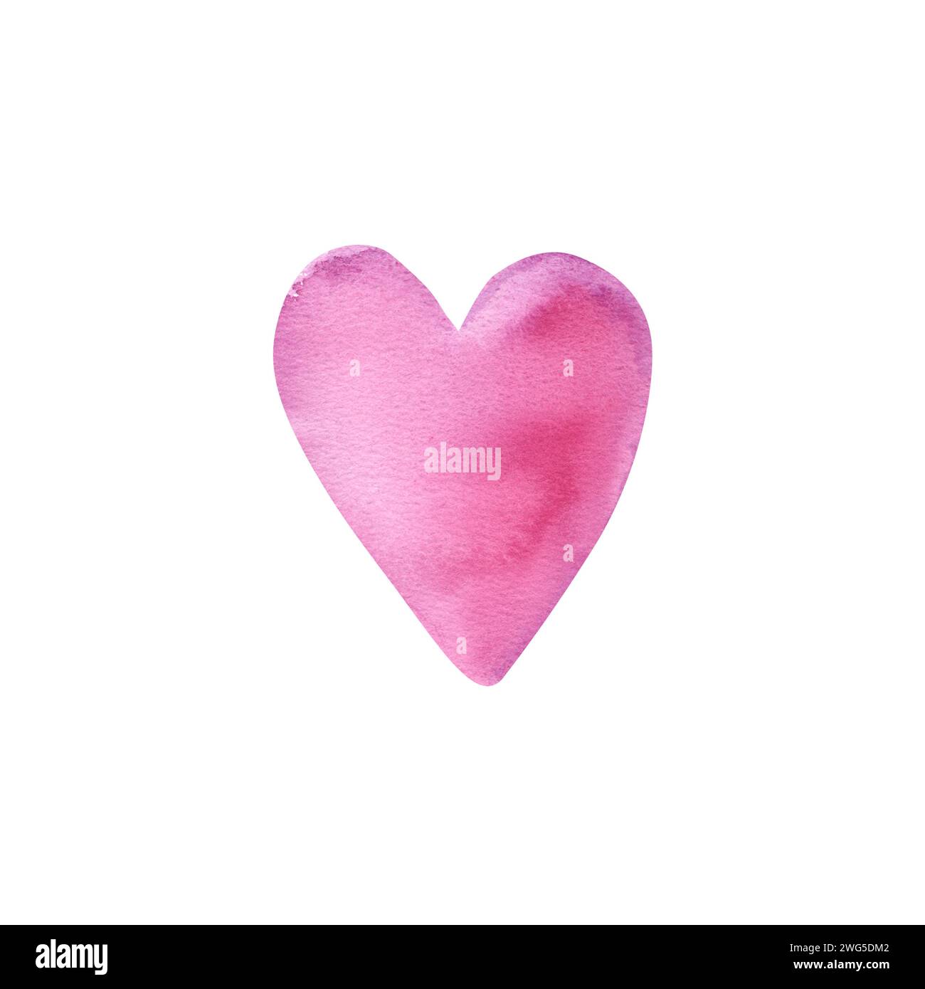 A pink watercolor heart on a white background. The illustration is hand ...