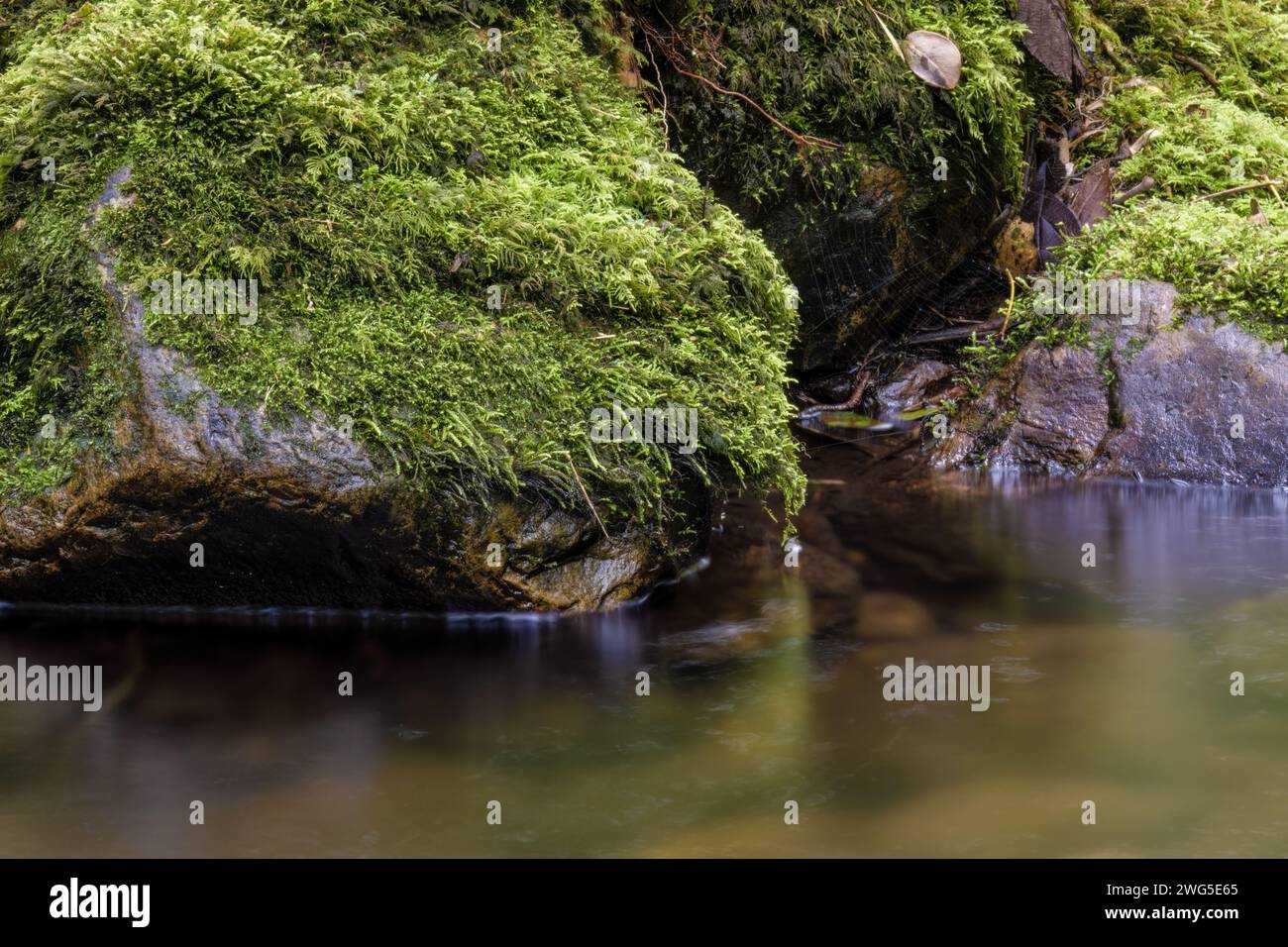 Long-exposure photograph of the stream and mossy rocks of a creek in ...