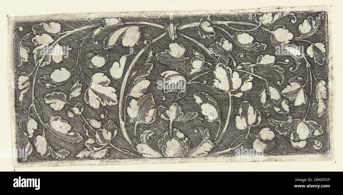 Two curved leaf vines, the bottom of a leaf, 1500 - 1600 print The leaf ...