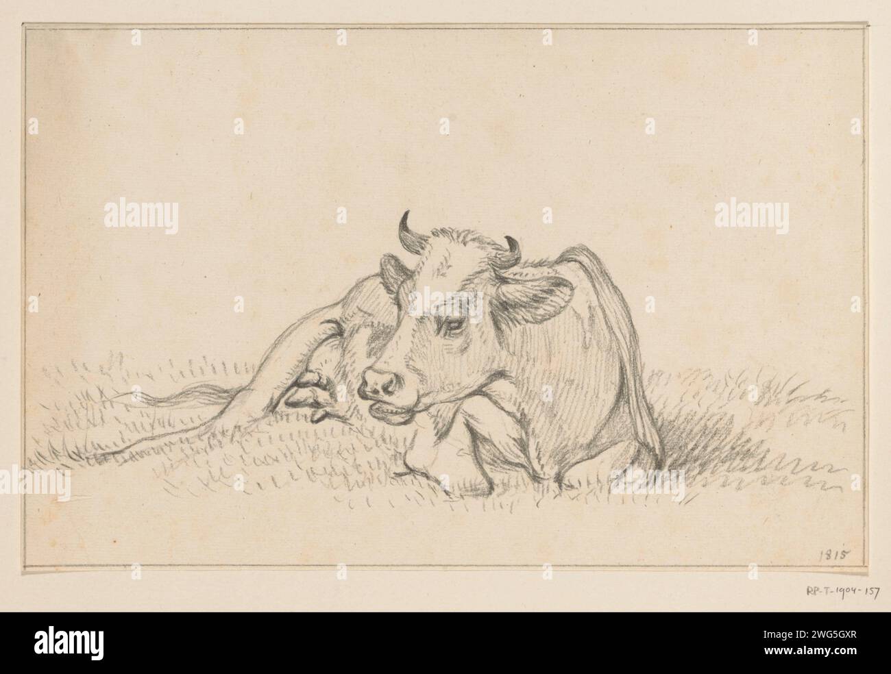 Lying cow, from the front, Jean Bernard, 1815 drawing paper. chalk cow ...