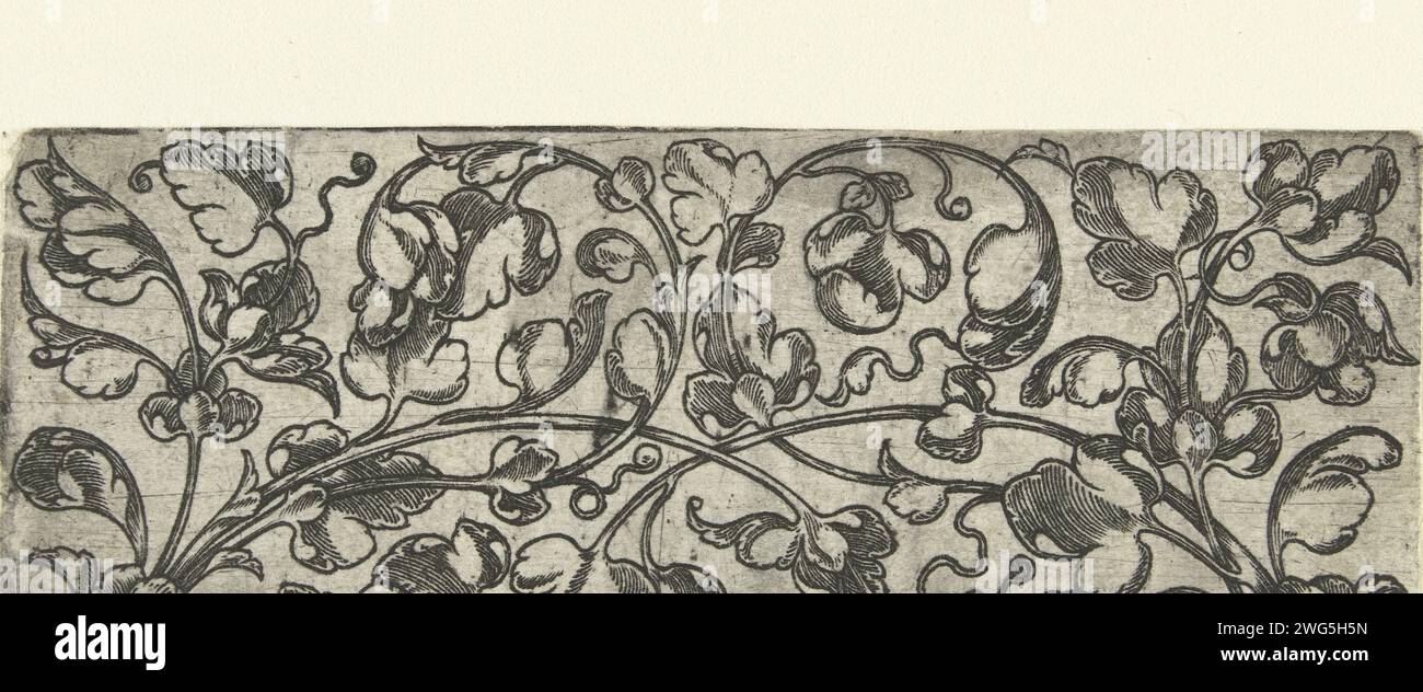 Leaves, sprouting at both ends of Frisian from a sheet, 1500 - 1600 ...