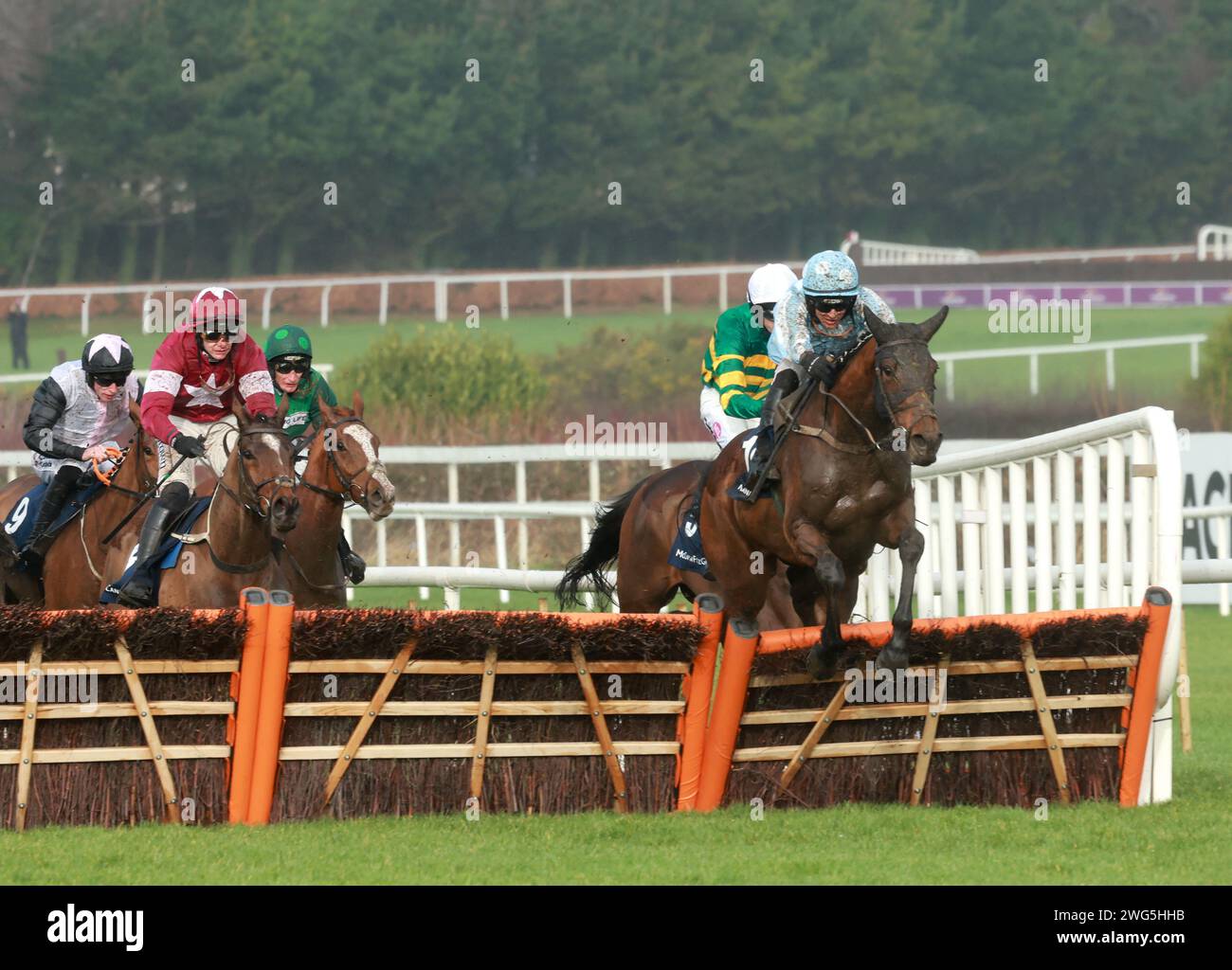 Dublin racing festival 2024 day one leopardstown racecourse hi-res ...