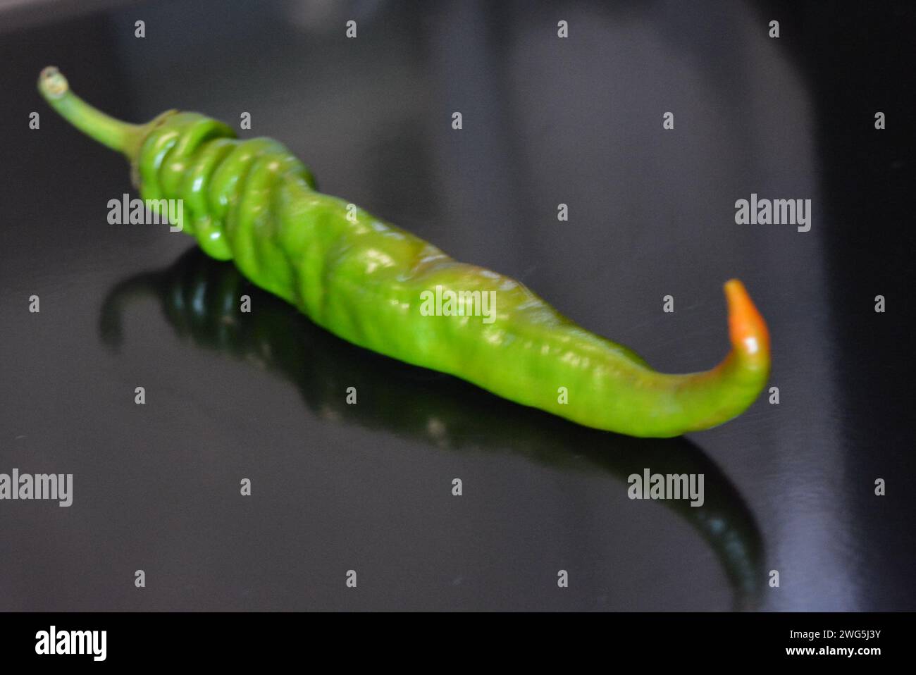 Fresh juicy green bitter pepper, chili pepper lying on a black glossy ...