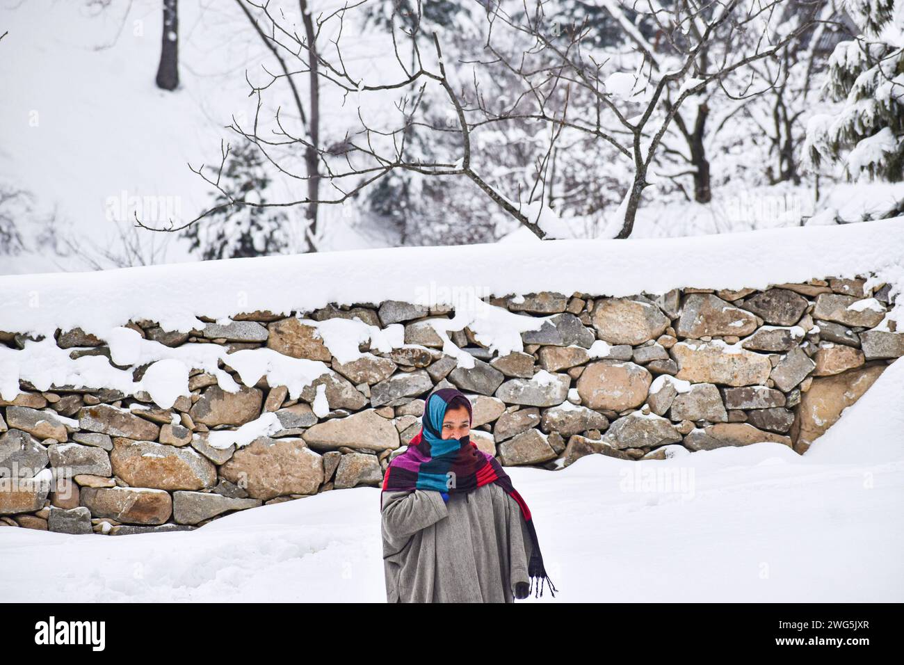 New Cold Wave Hits Kashmir February 02 2024 Srinagar India A Woman new-cold-wave-hits-kashmir-february-02-2024-srinagar-india-a-woman