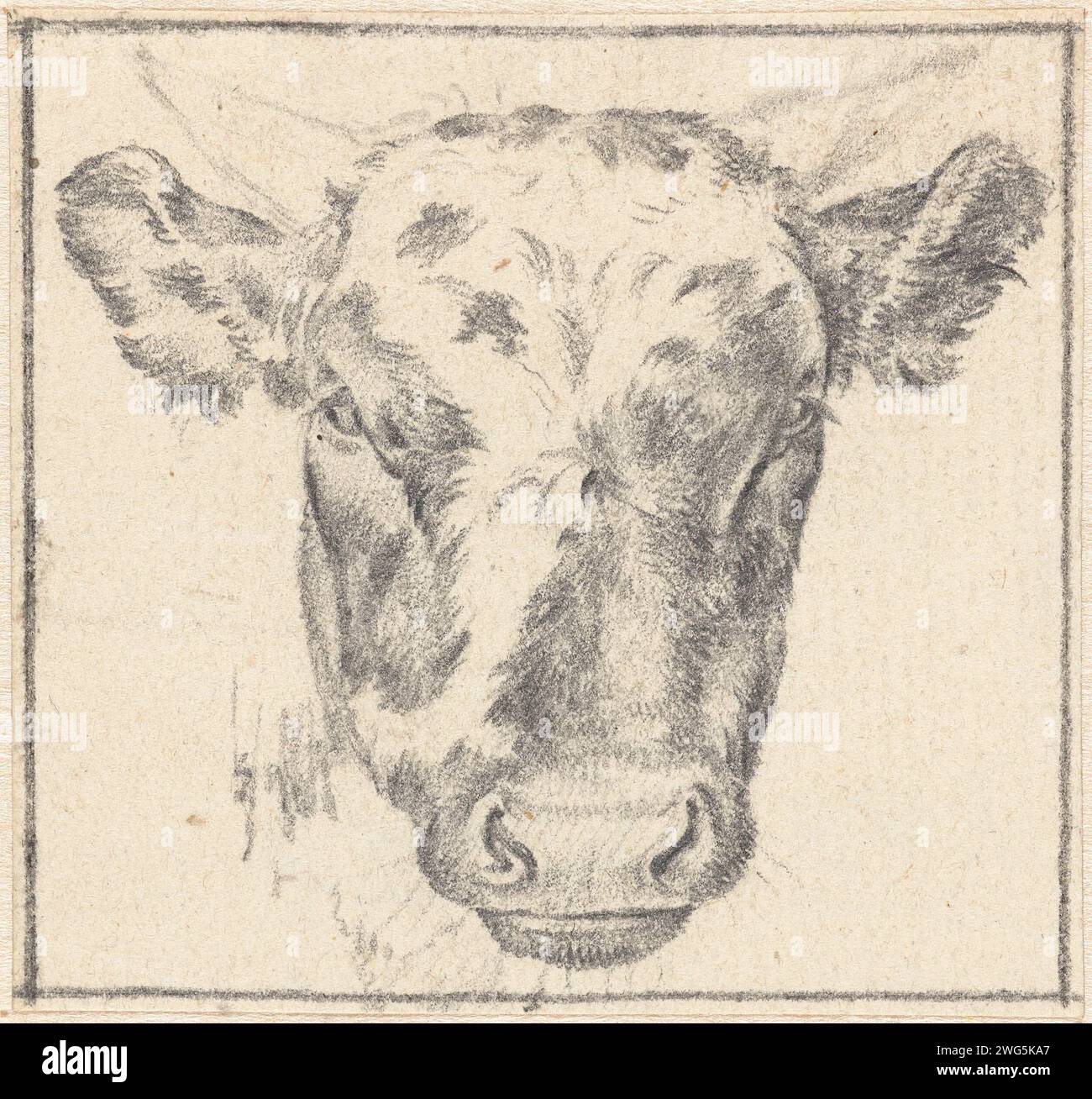 Kalfskop, Pieter Janson, 1775 - 1851 drawing paper. pencil cow Stock ...