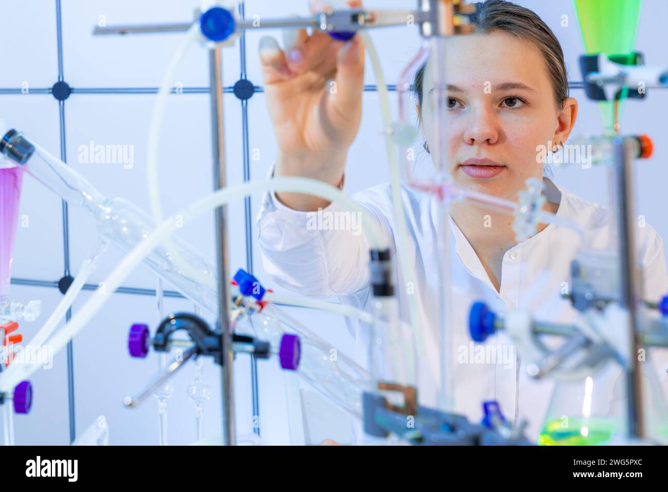Scientist conducting an experiment hi-res stock photography and images ...