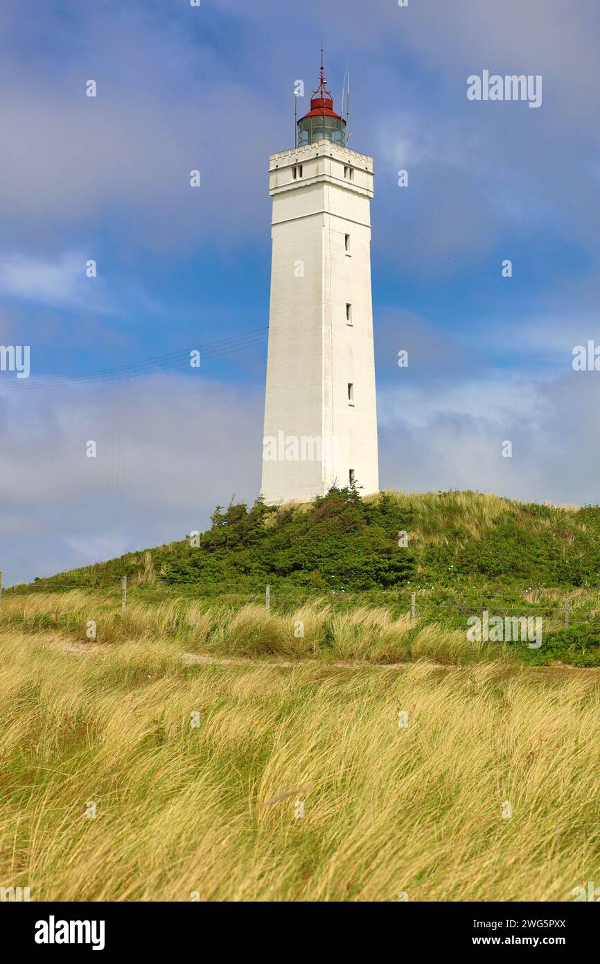 the white square lighthouse of Blavandshuk in denmark Stock Photo - Alamy