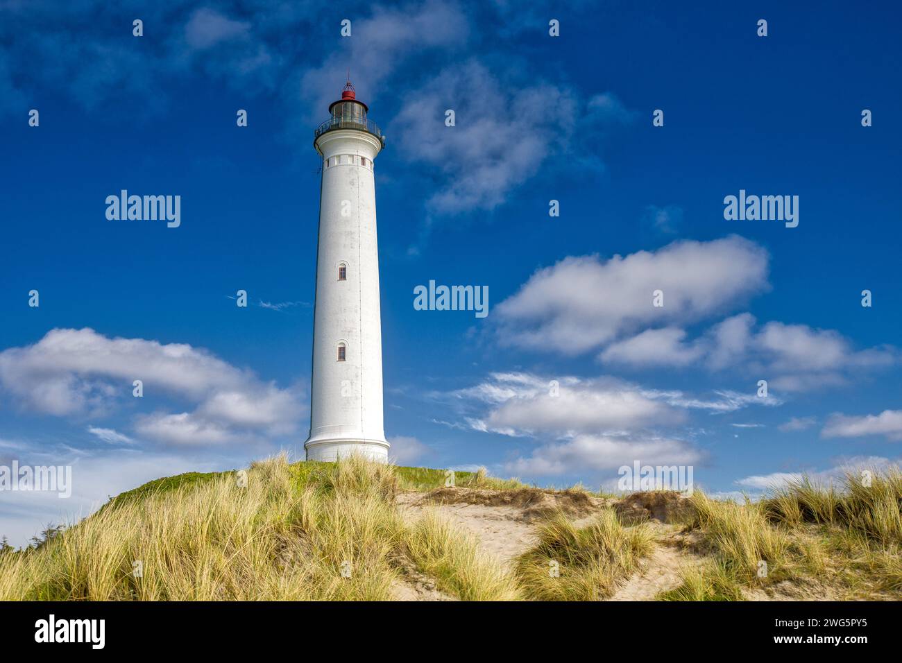 lighthouse Lyngvig Fyr on the coast of denmark Stock Photo - Alamy