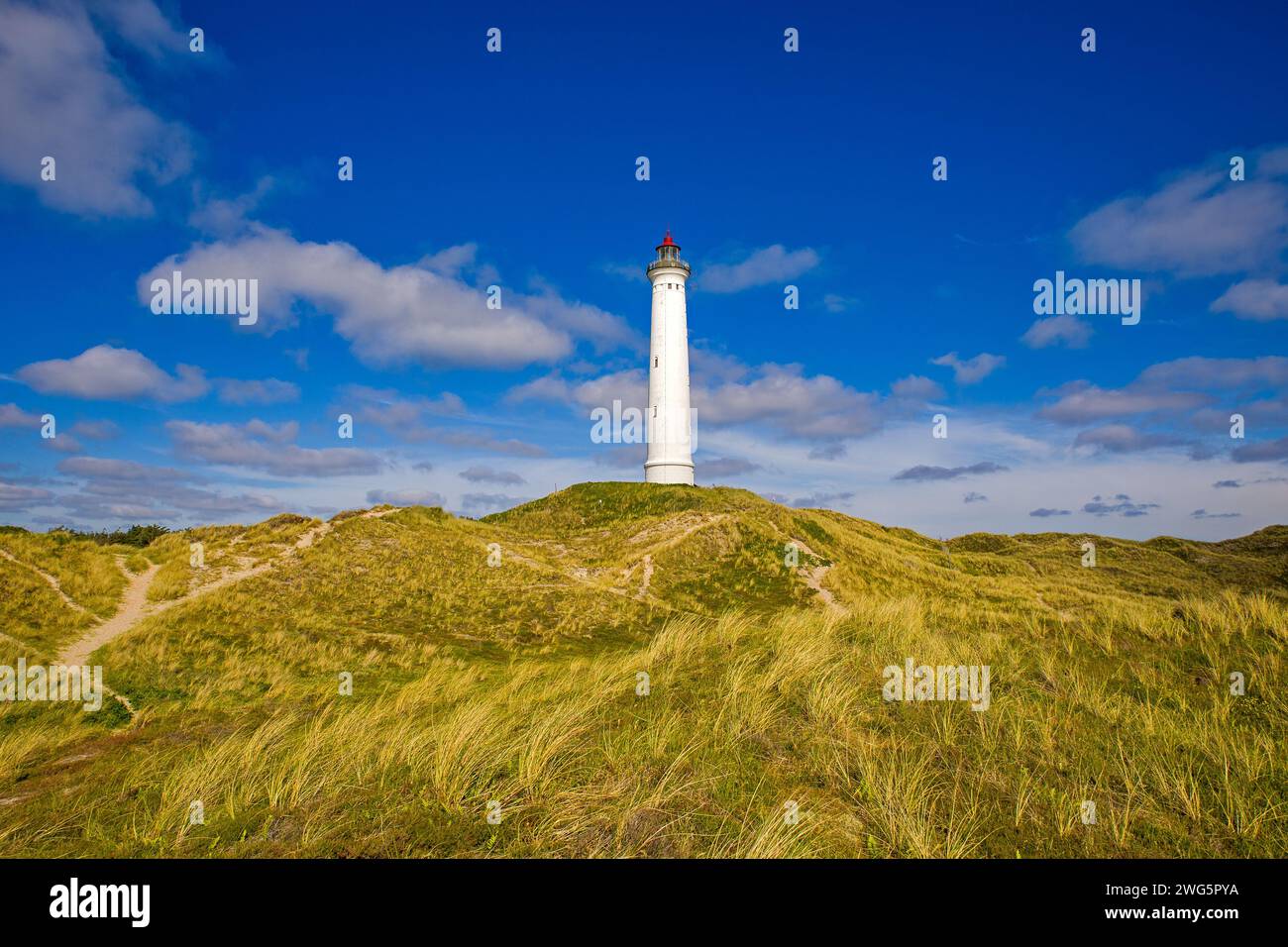 lighthouse Lyngvig Fyr on the coast of denmark Stock Photo - Alamy