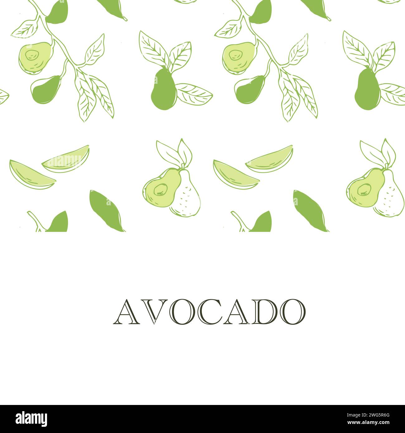 Avocado square banner in color. Whole avocado, sliced pieces, half ...