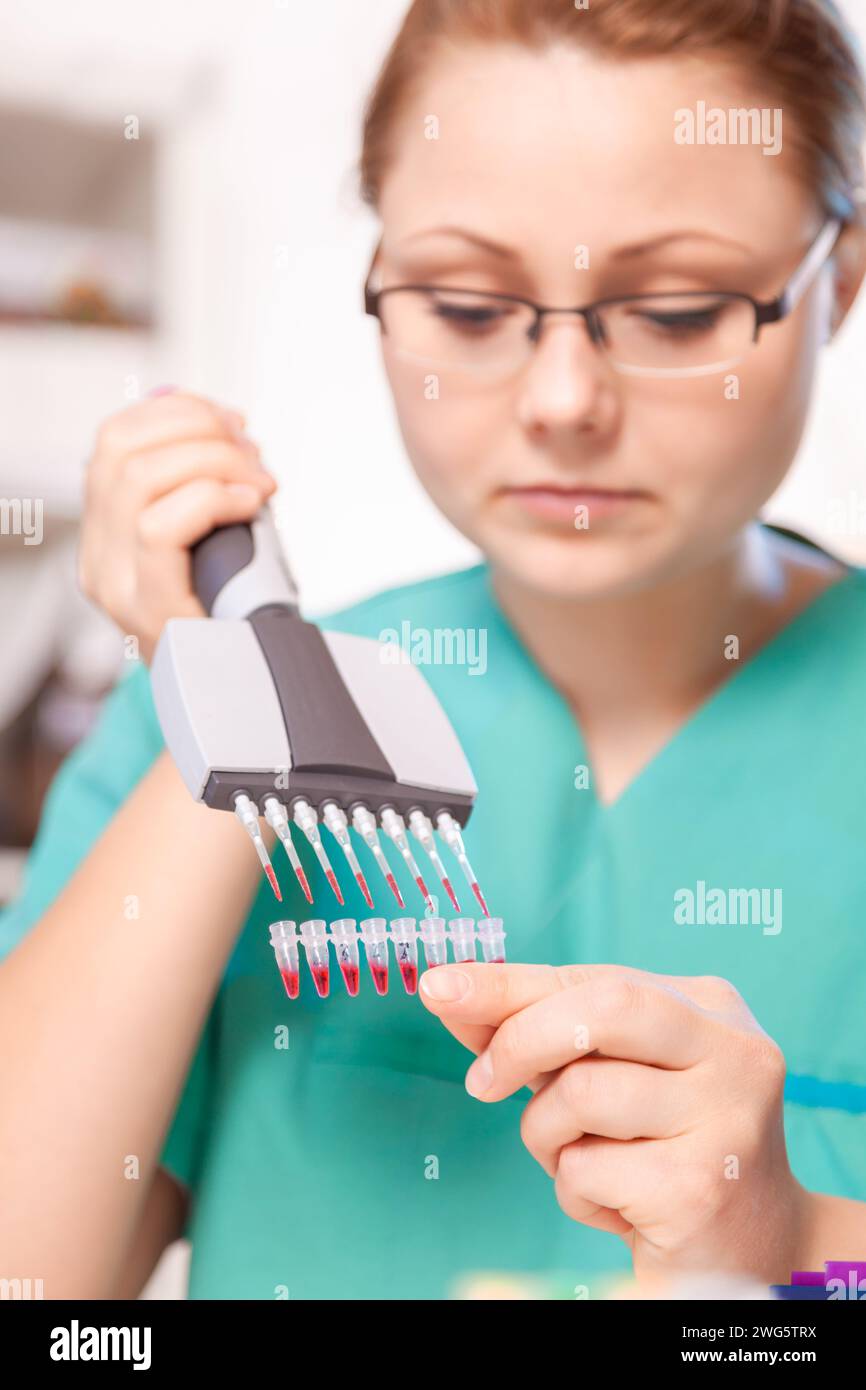female laboratory assistant performs genetic analysis in biological ... female laboratory assistant performs genetic analysis in biological ...