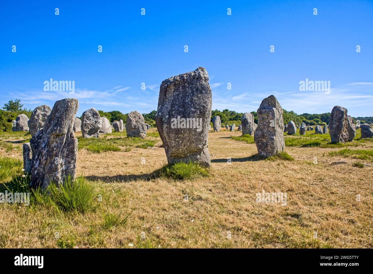 the famous menhirs at carnac at sunlight an UNESCO World Heritage Stock ...