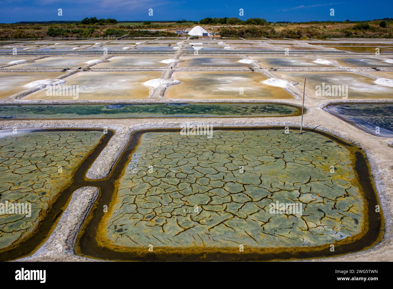 colorful salterns in sunlight at the area of guerande Stock Photo - Alamy