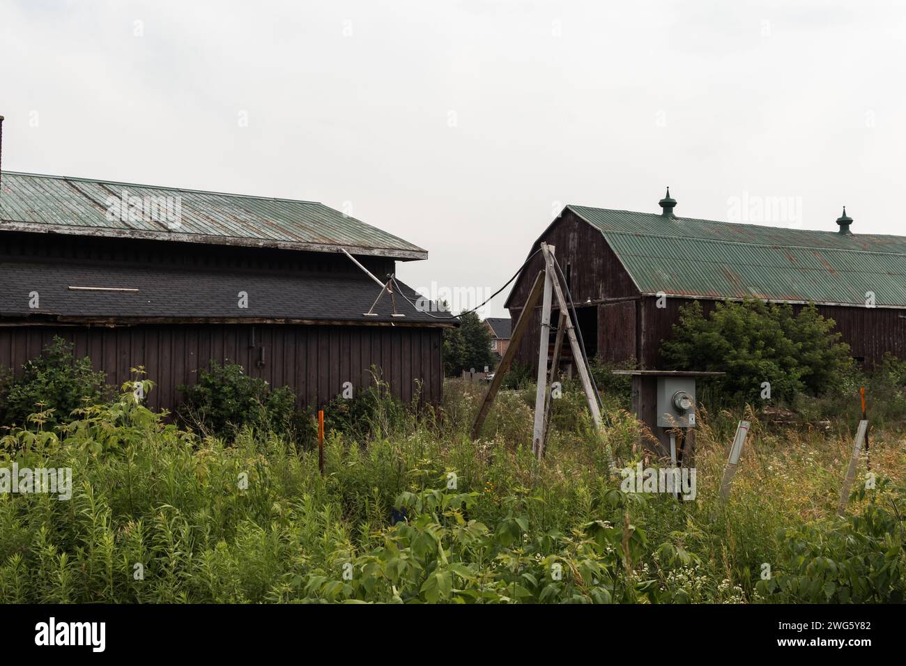 Old wooden barn - weathered texture - green metal roof - surrounded by ...