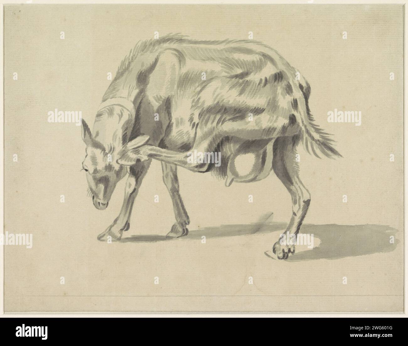 Scratching goat, Hendrik Jozef Franciscus van der Poorten, 1840 drawing ...