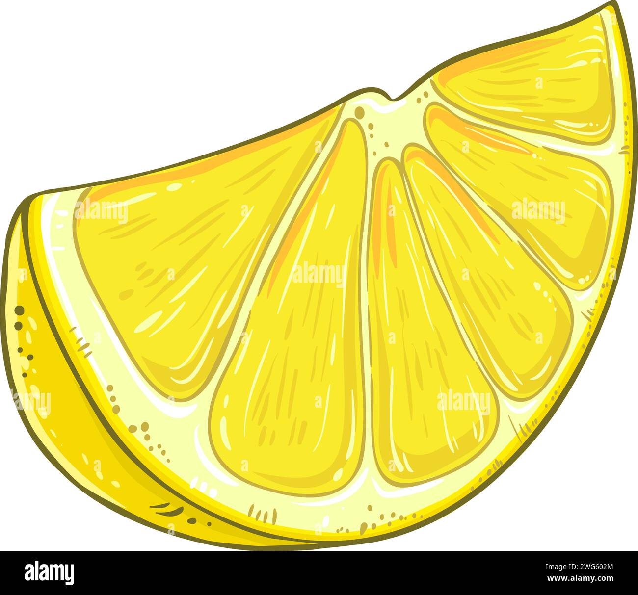 Lemon Fruit Colored Detailed Illustration Stock Vector Image & Art - Alamy Lemon Fruit Colored Detailed Illustration Stock Vector Image & Art - Alamy