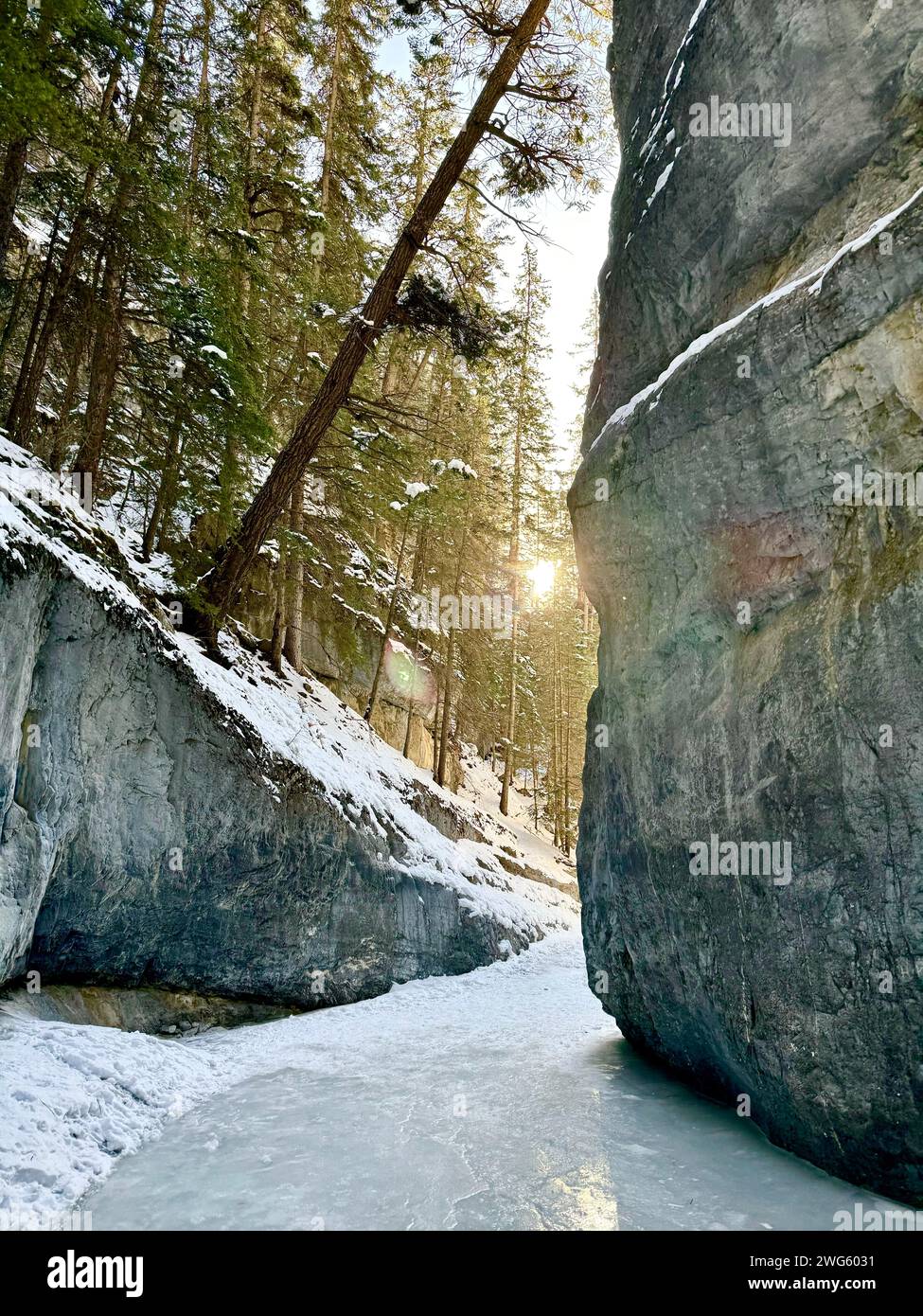 Grotto Canyon in winter with the walkpath frozen in Canmore, Alberta ...