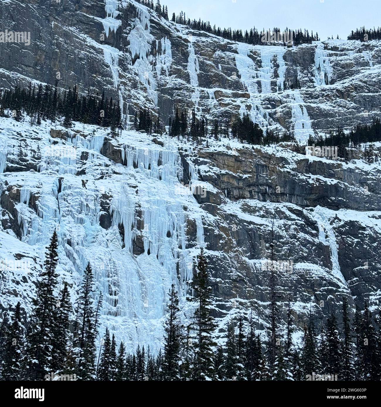 Icefields parkway winter canada hi-res stock photography and images - Alamy