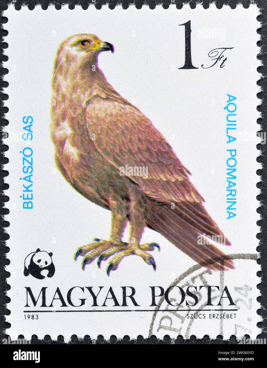 Cancelled postage stamp printed by Hungary, that shows Lesser Spotted ...