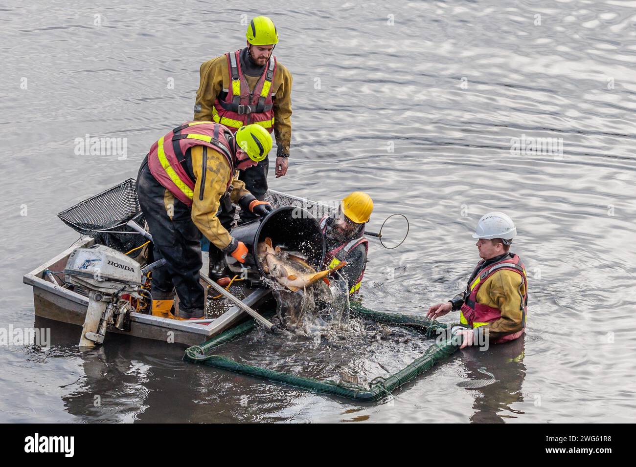 Brent Reservoir (The Welsh Harp), UK. 2nd Feb, 2024. Canal & River ...
