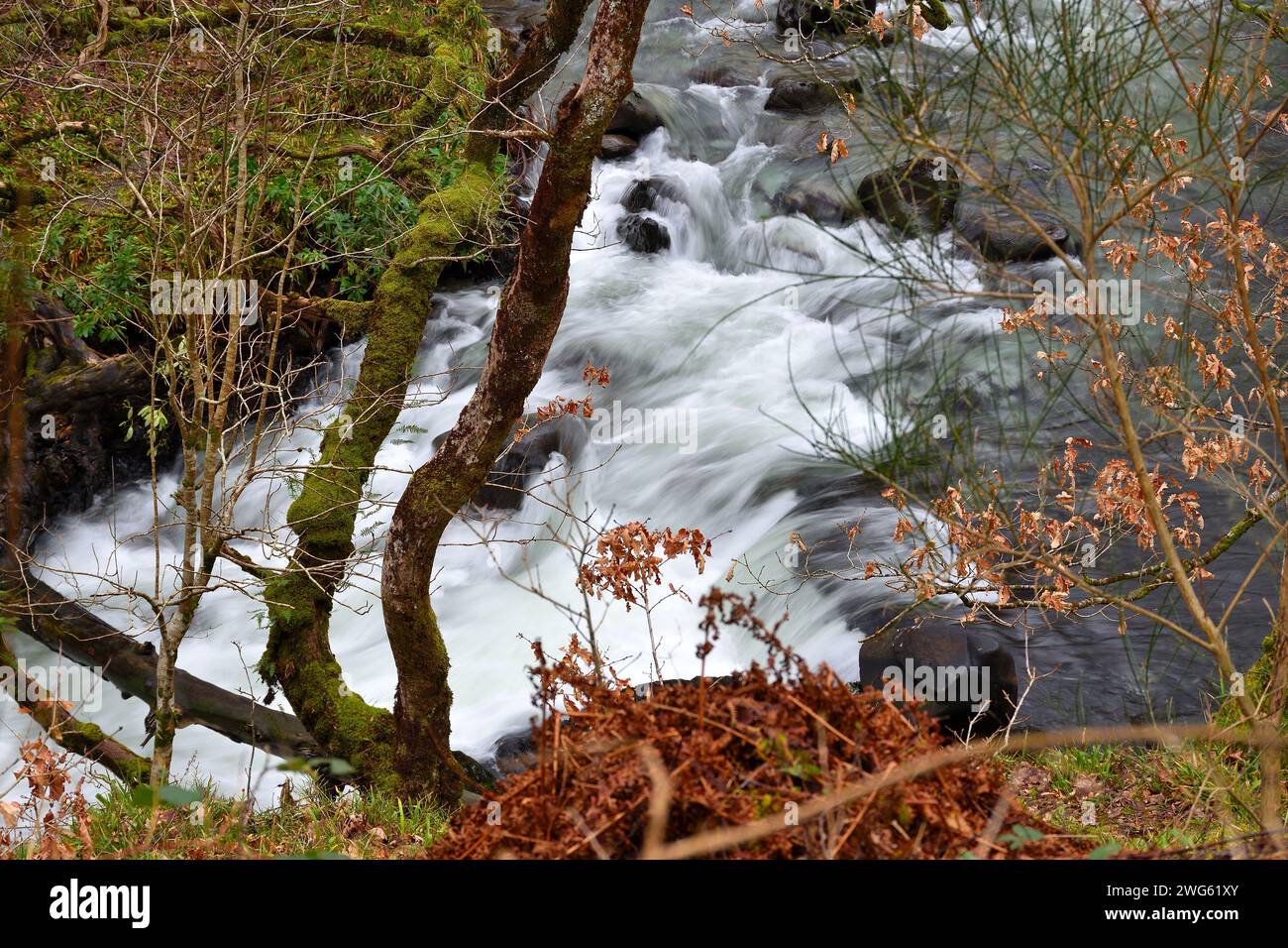 Luss water hi-res stock photography and images - Alamy