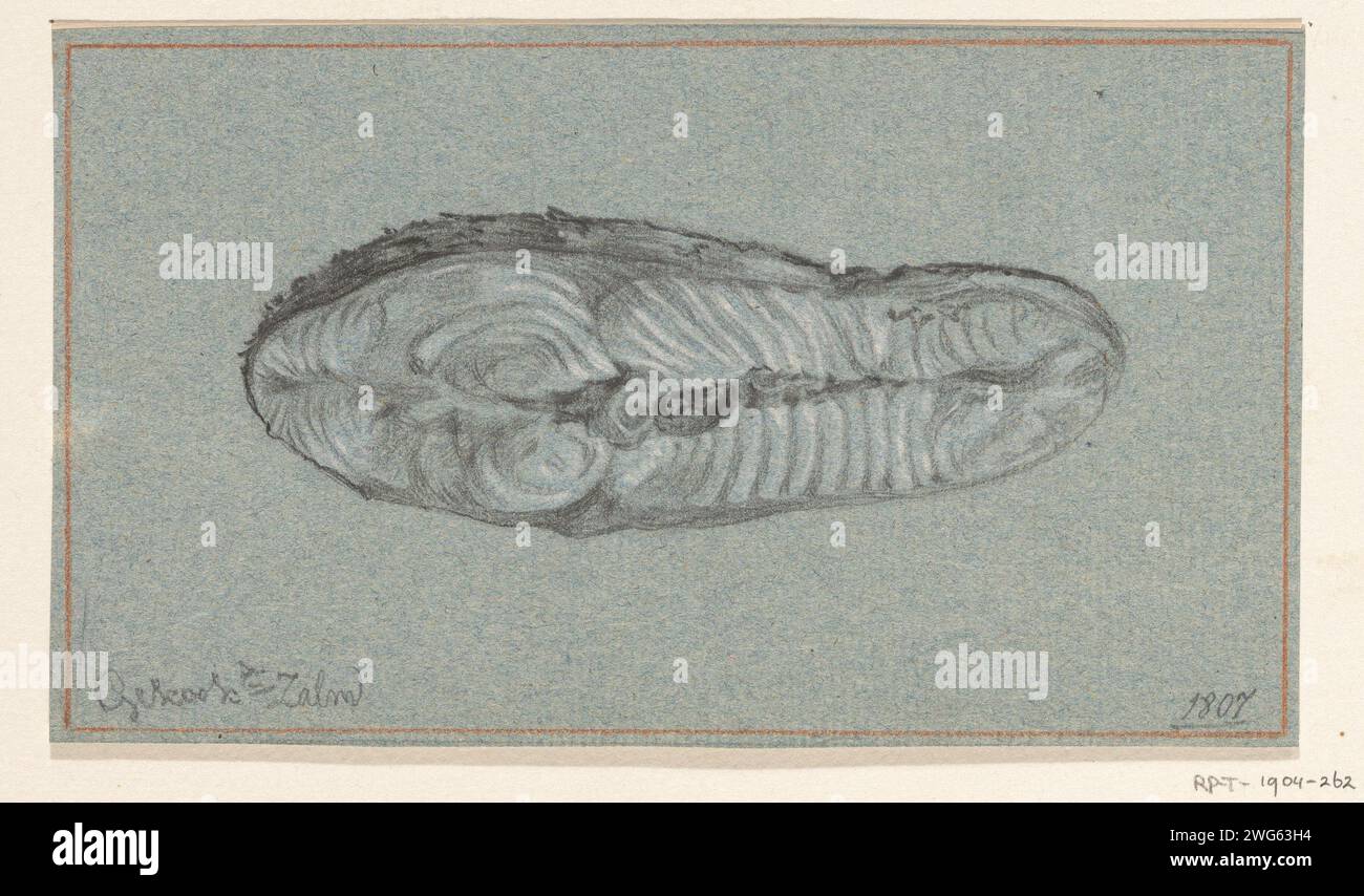 Moot Cooked Salmon, Jean Bernard, 1807 drawing paper. chalk fish (with ...