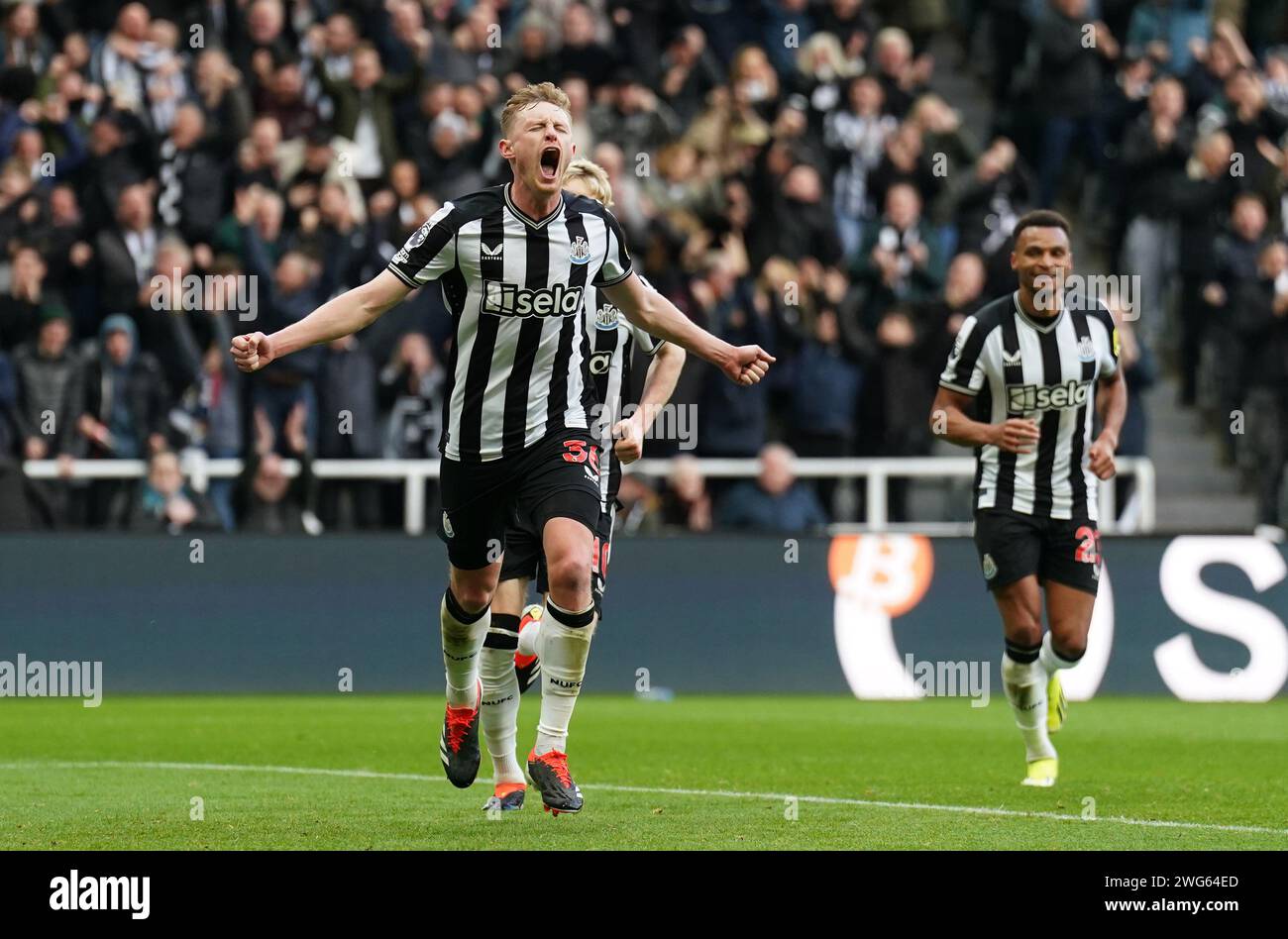 Newcastle United's Sean Longstaff celebrates scoring their side's ...
