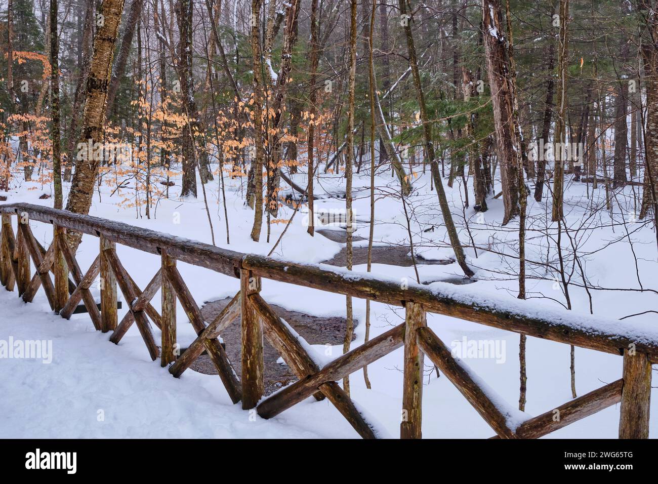 Gatineau park hi-res stock photography and images - Alamy
