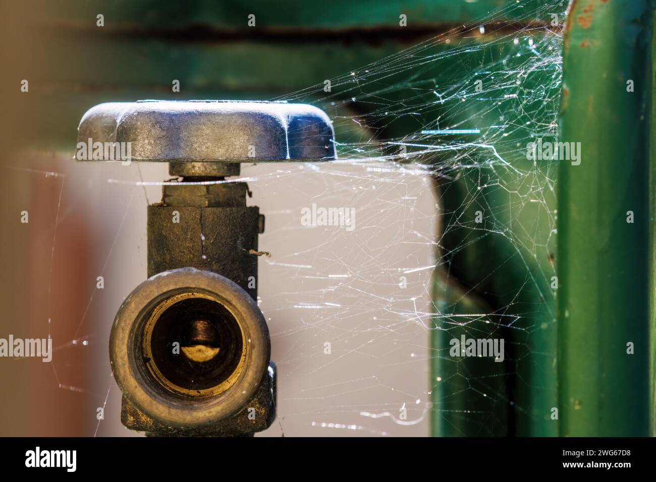 The valve of an old propane tank use by a spider to hang its intricate ...
