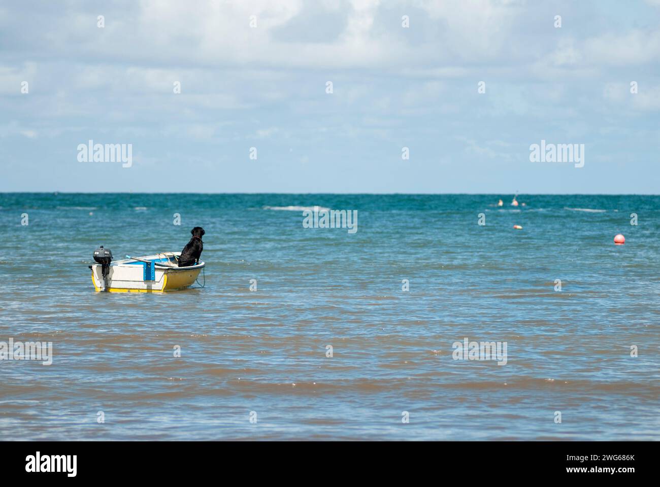 A black dog sits patiently in a small boat looking out to sea, while it ...