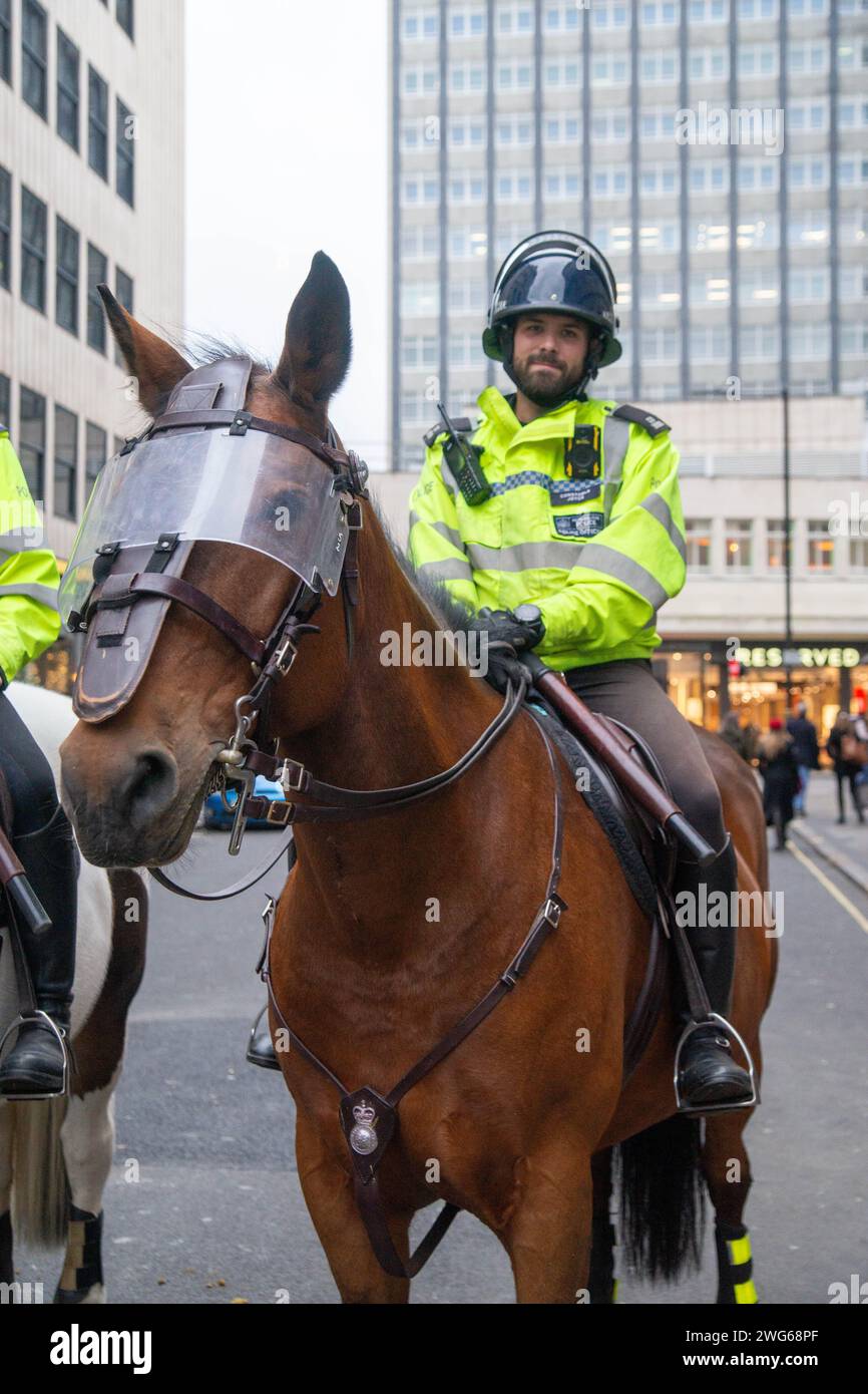 3rd February 2024. London, UK. Chestnut police horse with visor ...