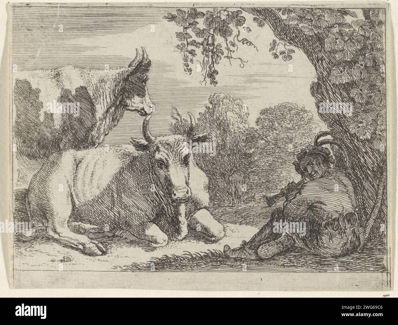 Cows, Herman van Swanevelt, 1636 - 1655 print Under a tree is a ...
