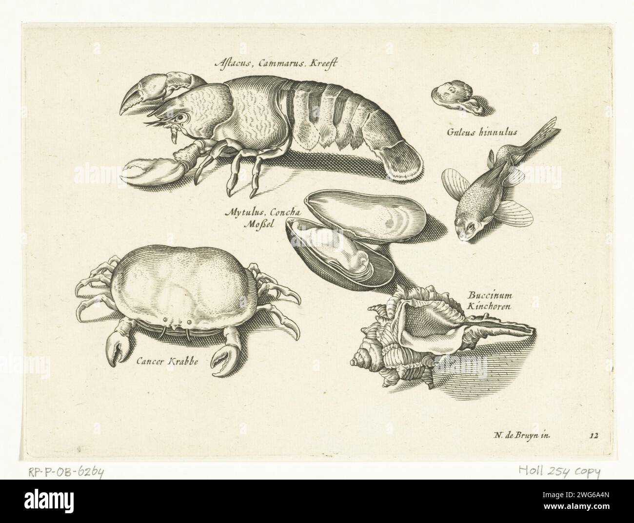 Cancer, Crab and Shells, Anonymous, After Nicolaes de Bruyn, 1581 ...
