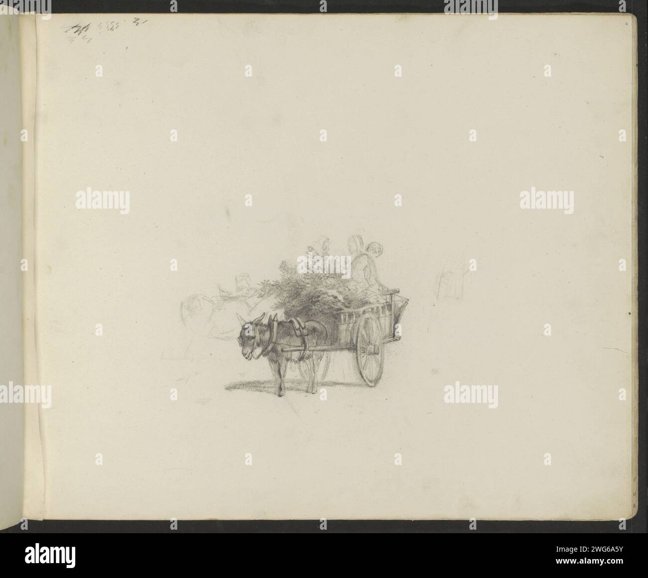 Donkey drawn carriage hi-res stock photography and images - Alamy