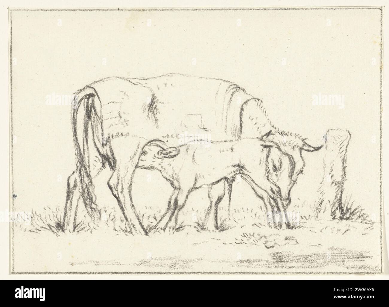 Drinking calf with his mother, Jean Bernard, 1775 - 1833 drawing paper ...