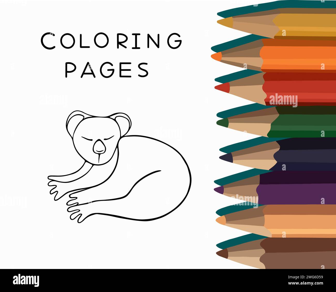 Vector isolated illustration of koala coloring book Stock Vector Image ...