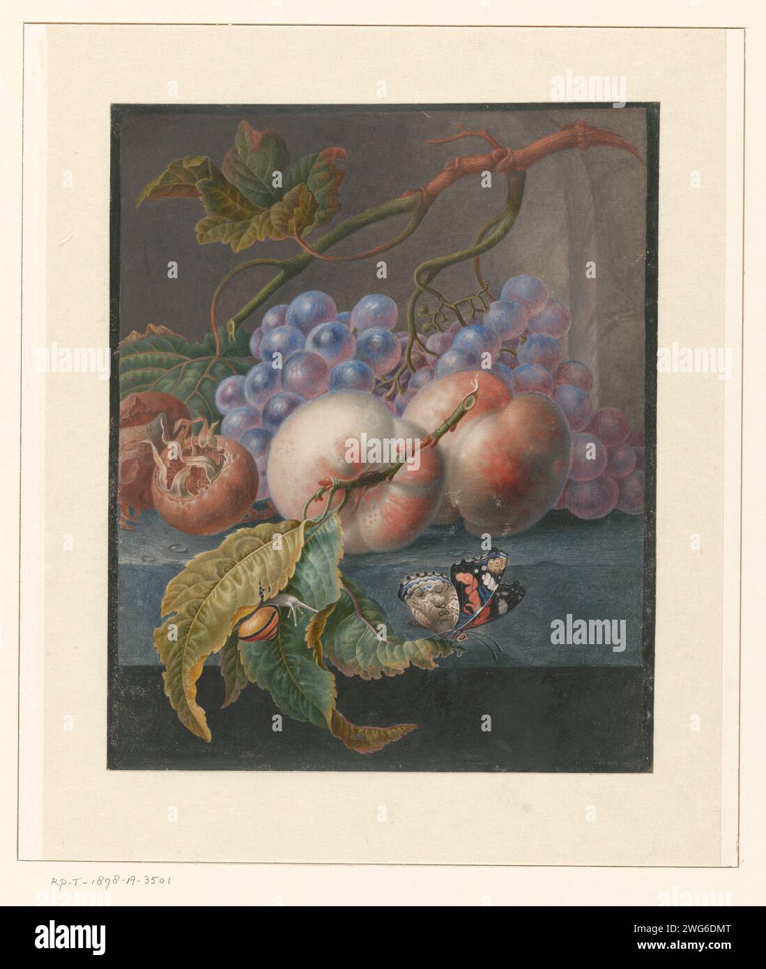 Fruits with a butterfly and a snail, Herman Henstenburgh, 1677 - 1726 ...