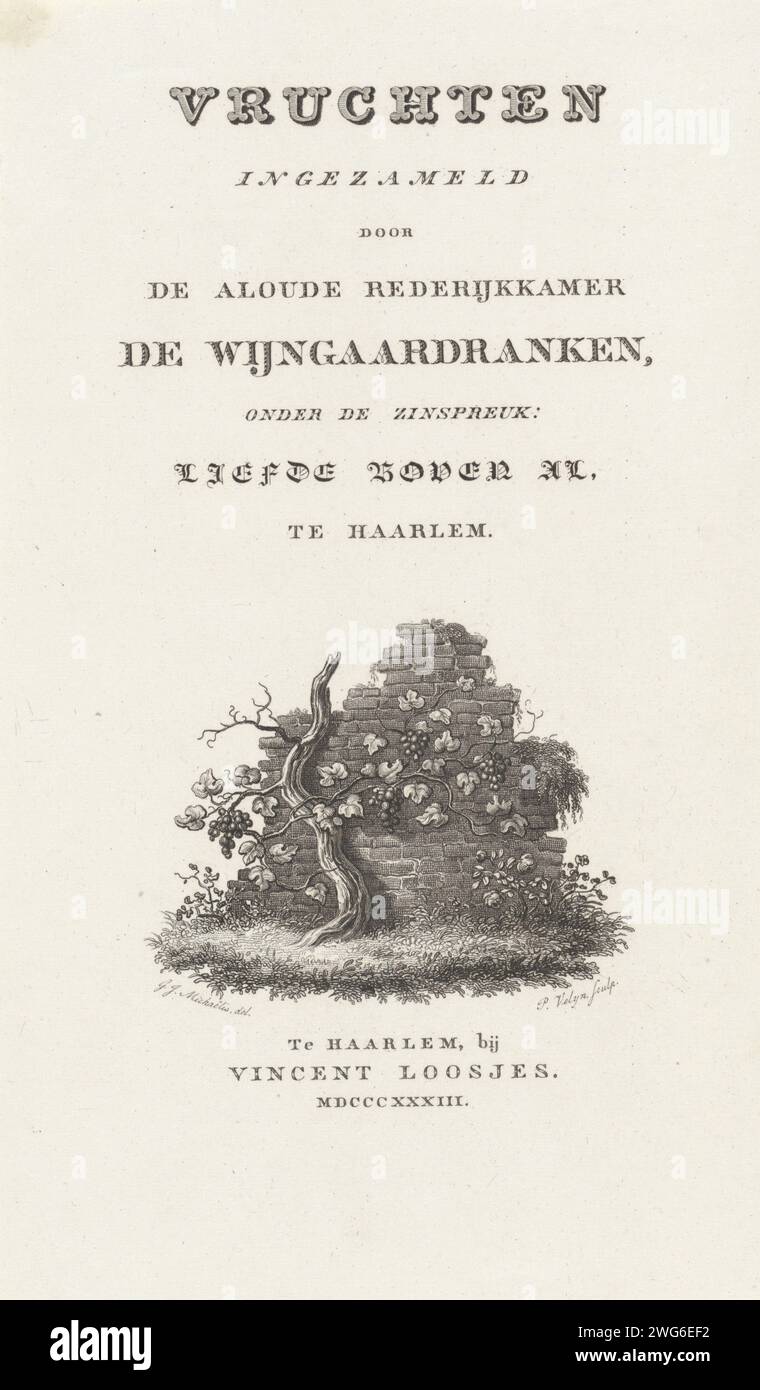 Wijnrank against a Wall, Philippus Velijn, after Gerrit Jan Michaëlis ...