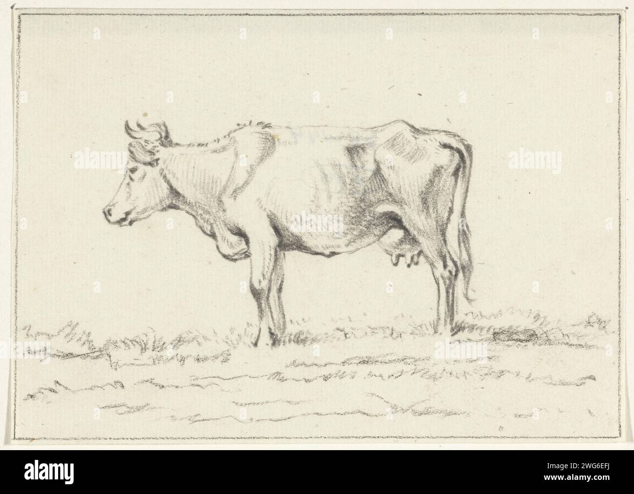 Standing cow, to the left, Jean Bernard, 1775 - 1833 drawing paper ...