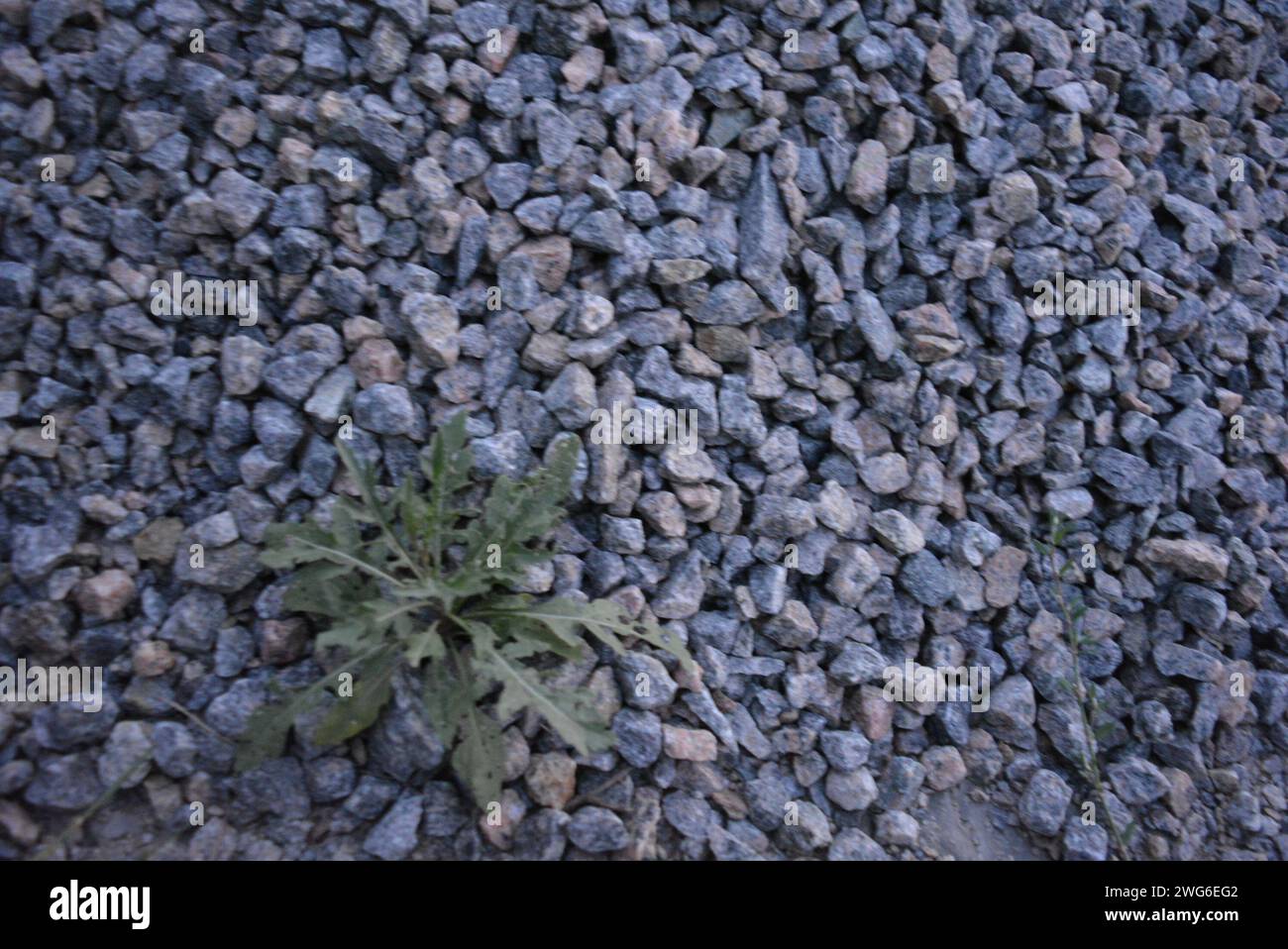 Splash wall repair hi-res stock photography and images - Alamy